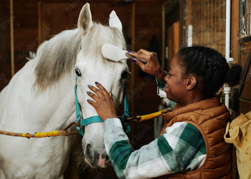 UNDERSTANDING THE NEEDS OF FARM ANIMALS – Petzie
