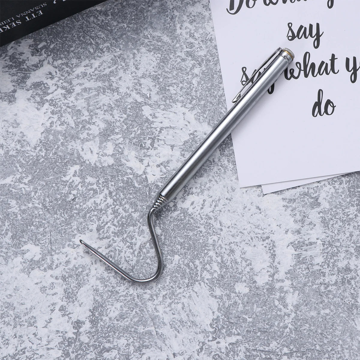 Retractable Snake Hook Catcher – Collapsible Reptile Grabber Tool with ...